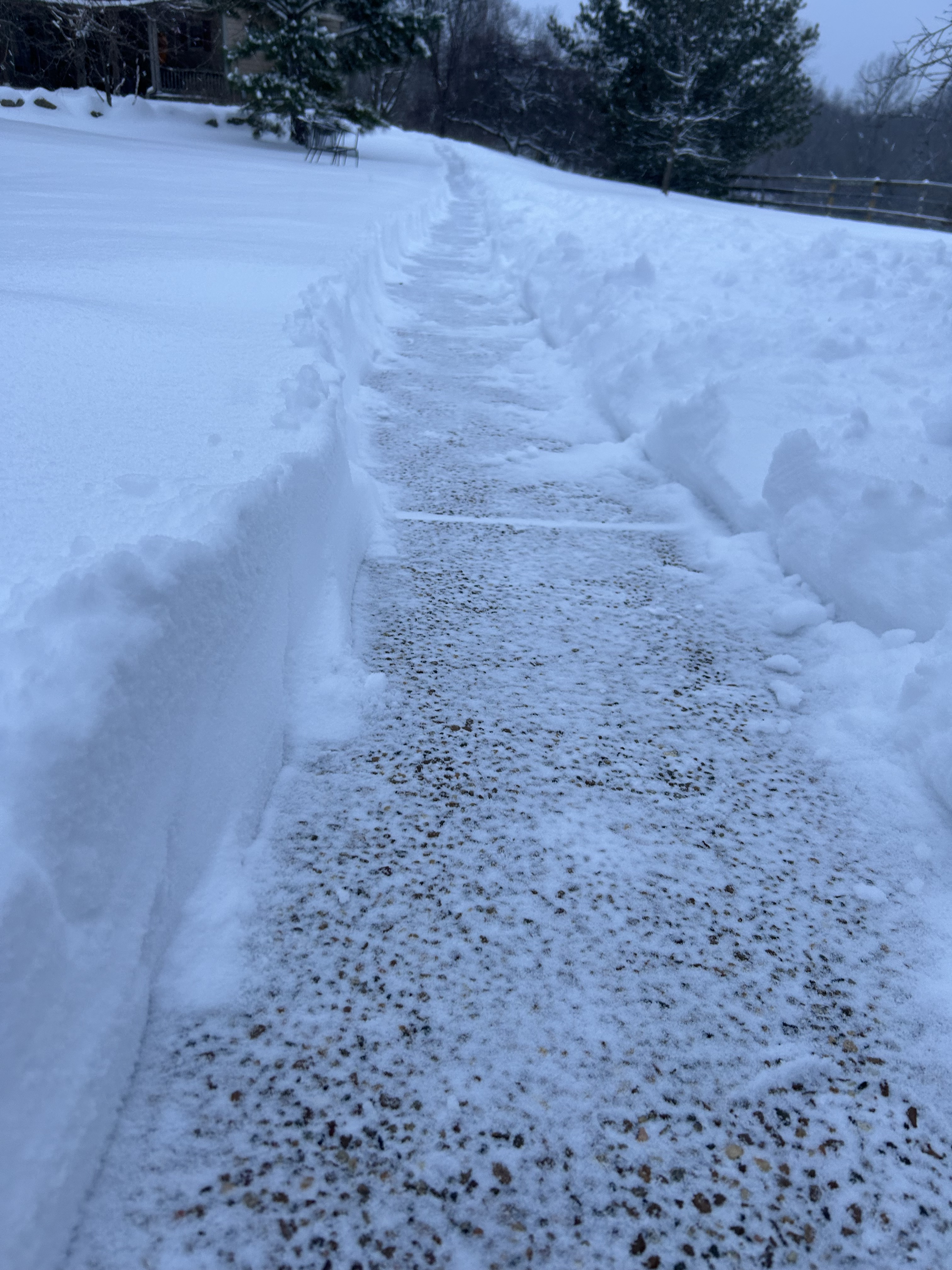 Shovel, Shovel! – January 29 – Galloping Through