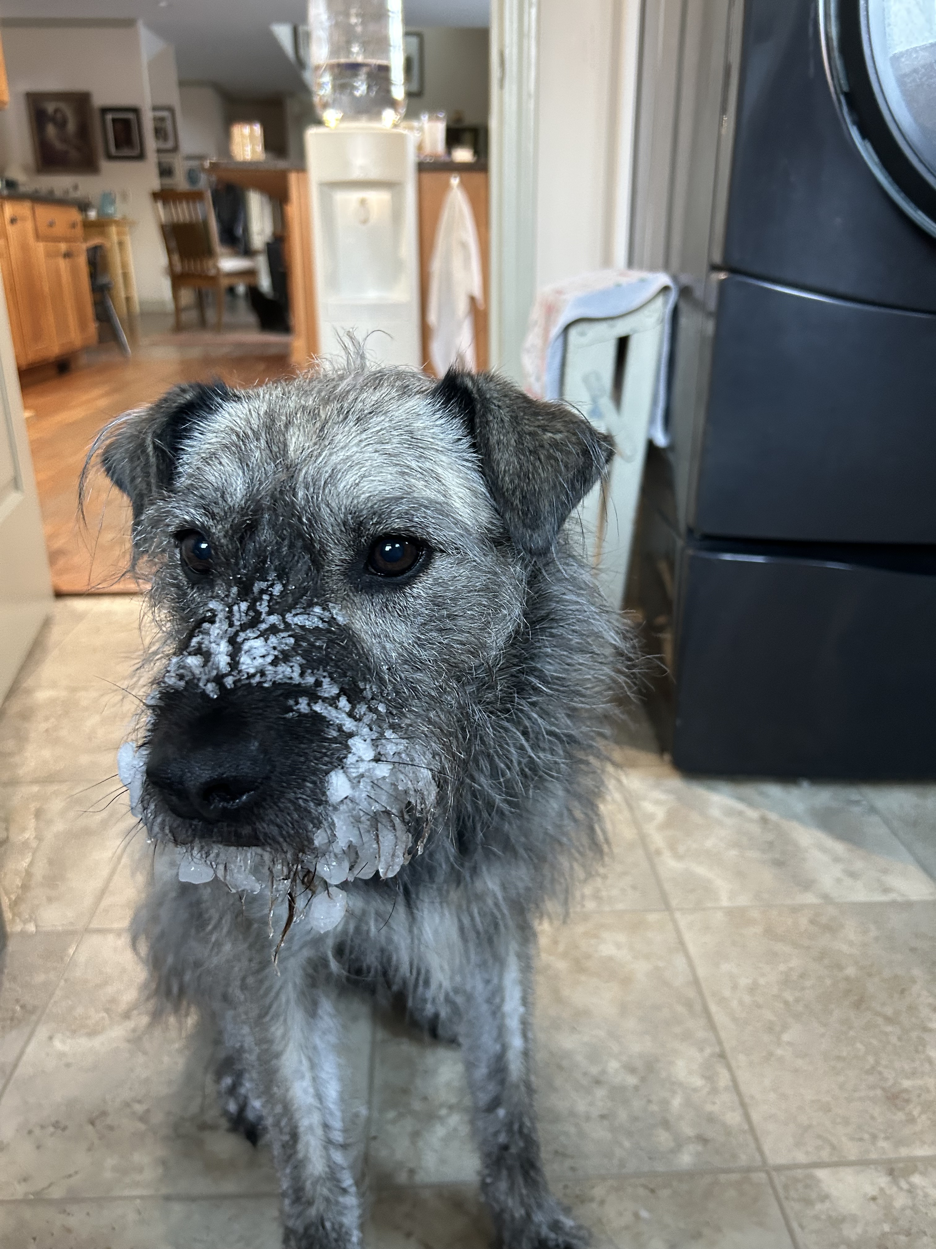 Shovel, Shovel! – January 29 – Galloping Through