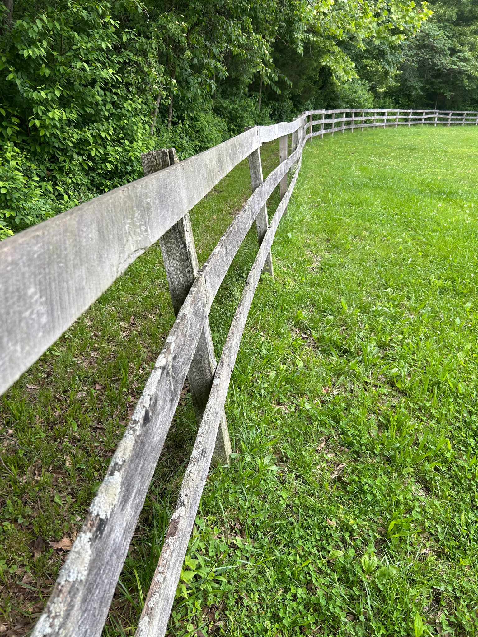 Memorial Day Weekend – May 23 – Galloping Through